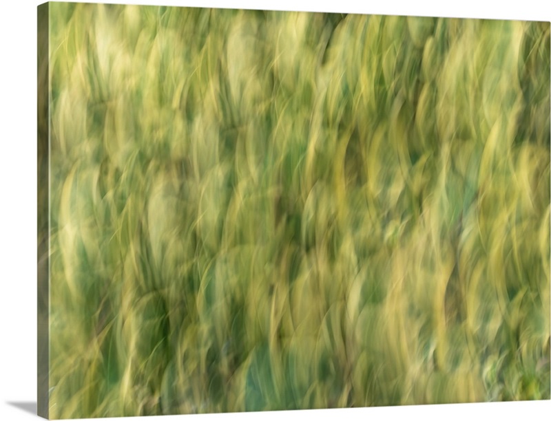 Intentional Camera Movement Photo | Great Big Canvas
