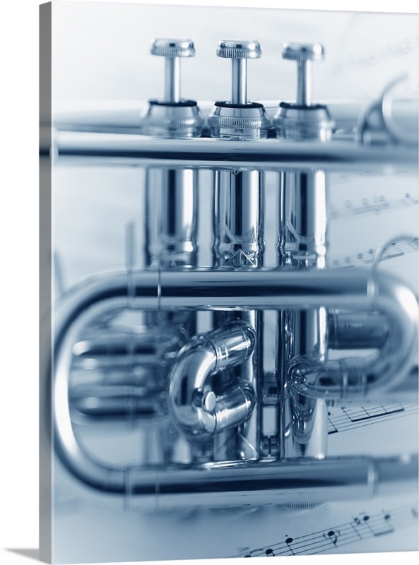 Middle Section Detail of Cornet Instrument | Great Big Canvas