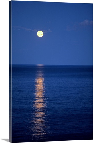 Moon over Lake at Night | Great Big Canvas