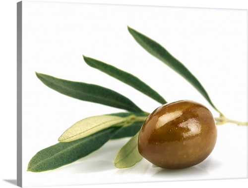 Olive | Great Big Canvas