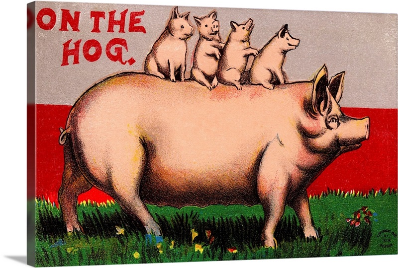 On The Hog Postcard | Great Big Canvas