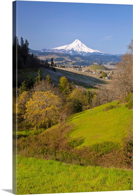 oregon united states of america | Great Big Canvas