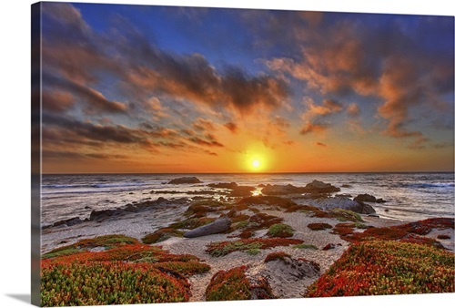 Pacific grove sunset | Great Big Canvas
