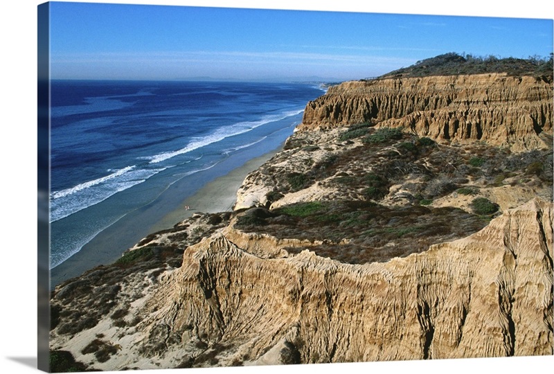 Pacific ocean landscape, Torrey Pines State Park | Great Big Canvas