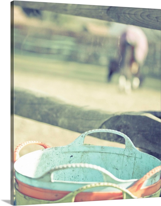 Pails, fence and horse in sun. | Great Big Canvas