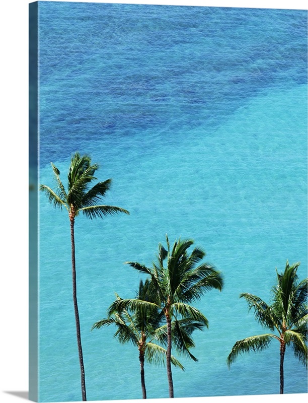 Palm trees and surface of the sea | Great Big Canvas