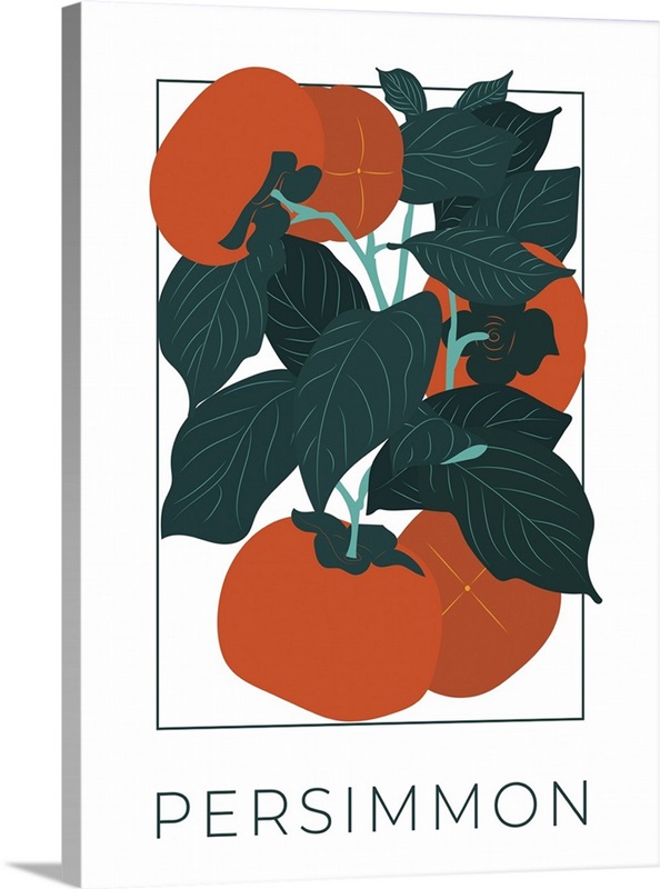 Persimmon | Great Big Canvas