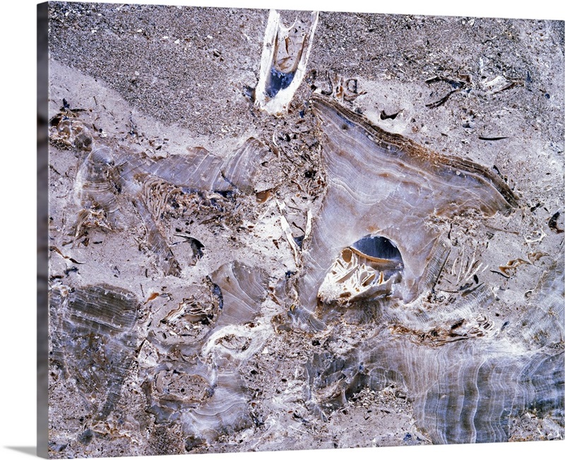 Photography of marble, Stone material, Close Up | Great Big Canvas