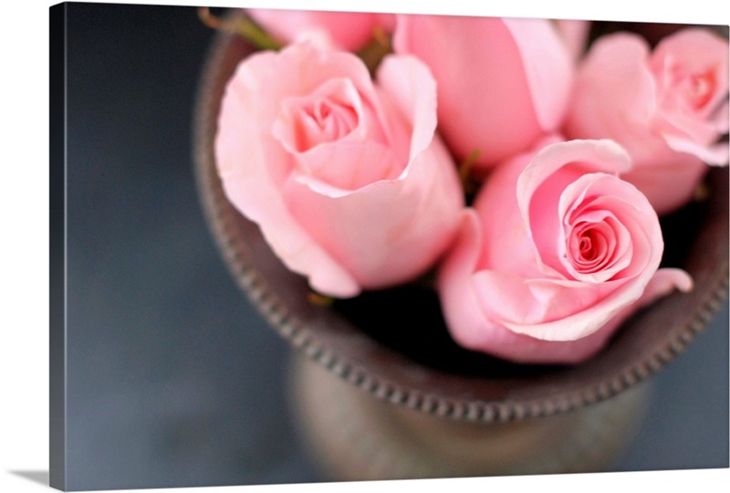 Pink roses in vase from above. | Great Big Canvas