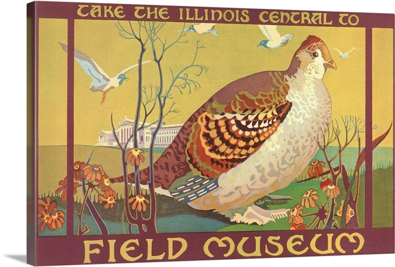 Poster For Field Museum With Quail | Great Big Canvas
