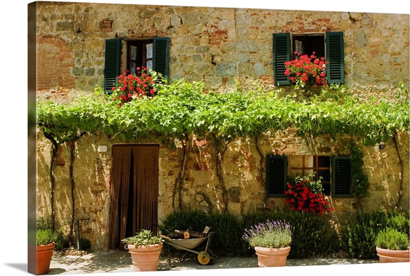 Potted plants outside a house, Piazza Roma, Monteriggioni, Tuscany ...