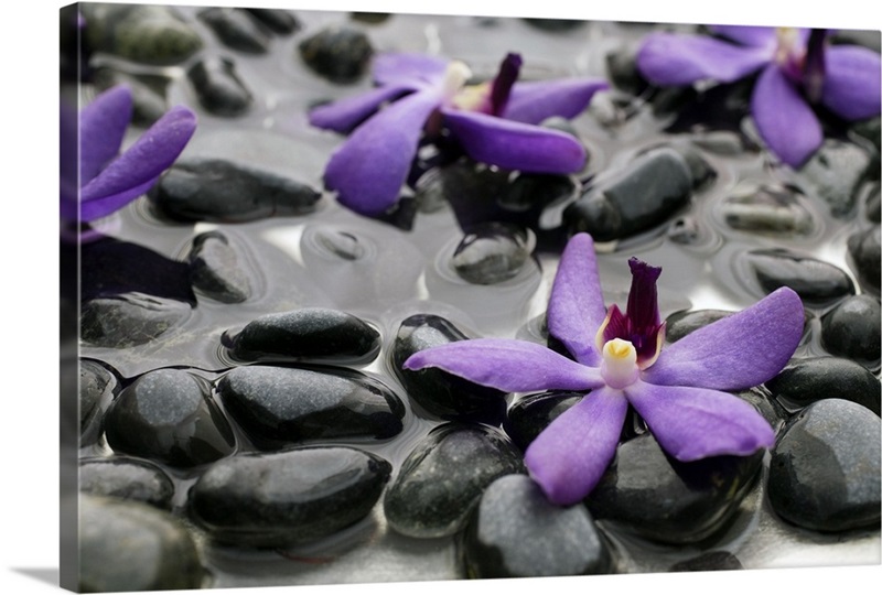 Purple orchids on wet rocks | Great Big Canvas