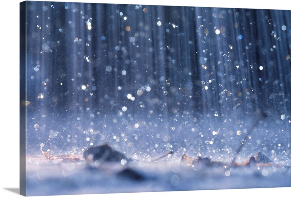 Rain falling on ground Wall Art, Canvas Prints, Framed Prints, Wall ...