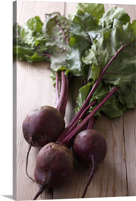 Red Beet | Great Big Canvas
