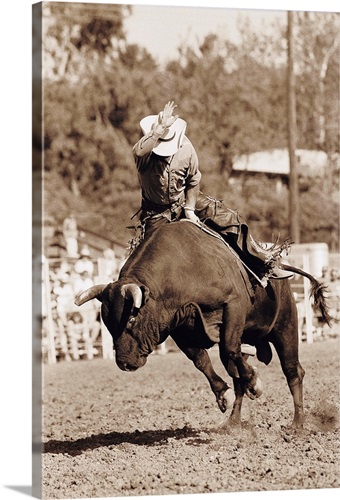 Rider about to fall off bucking bull | Great Big Canvas