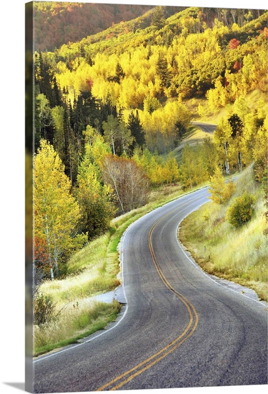 Road leading to Cascade Springs to Alpine Loop. | Great Big Canvas