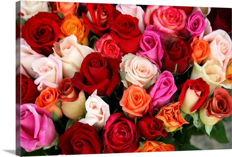 Roses For Sale At Flower Market | Great Big Canvas