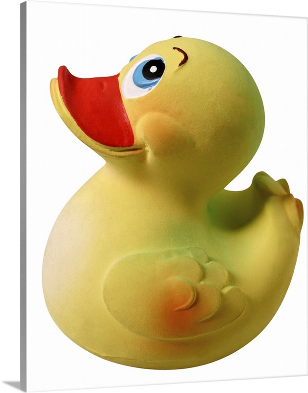 Rubber ducky | Great Big Canvas