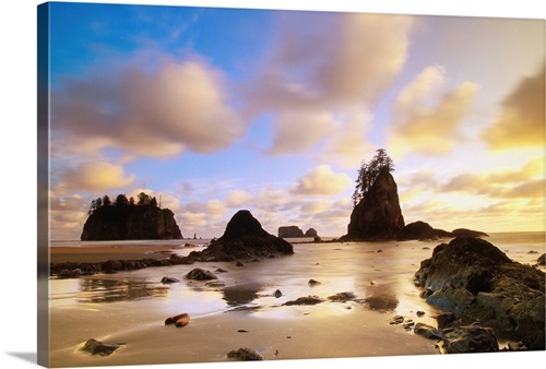 Sea Stacks Off Second Beach | Great Big Canvas