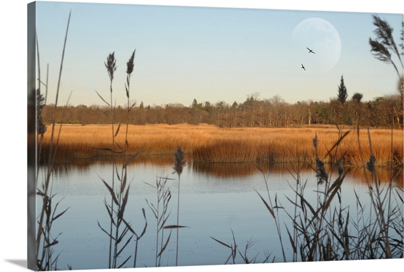 Seascape of marshlands in northeast of United States. | Great Big Canvas