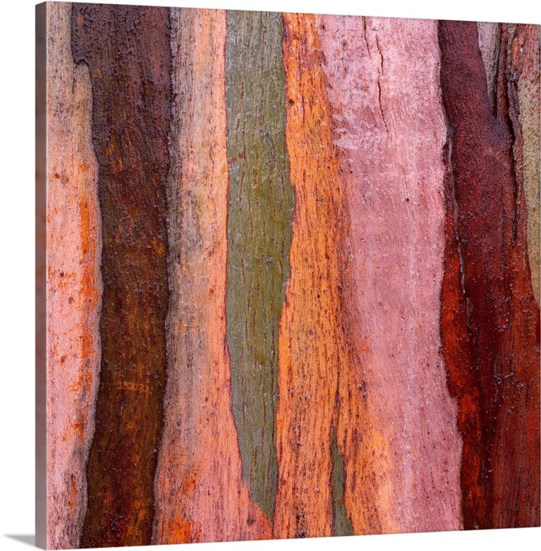 Sedimentary Strata | Great Big Canvas