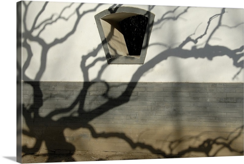 Shadow of a tree on a wall build in traditional style | Great Big Canvas