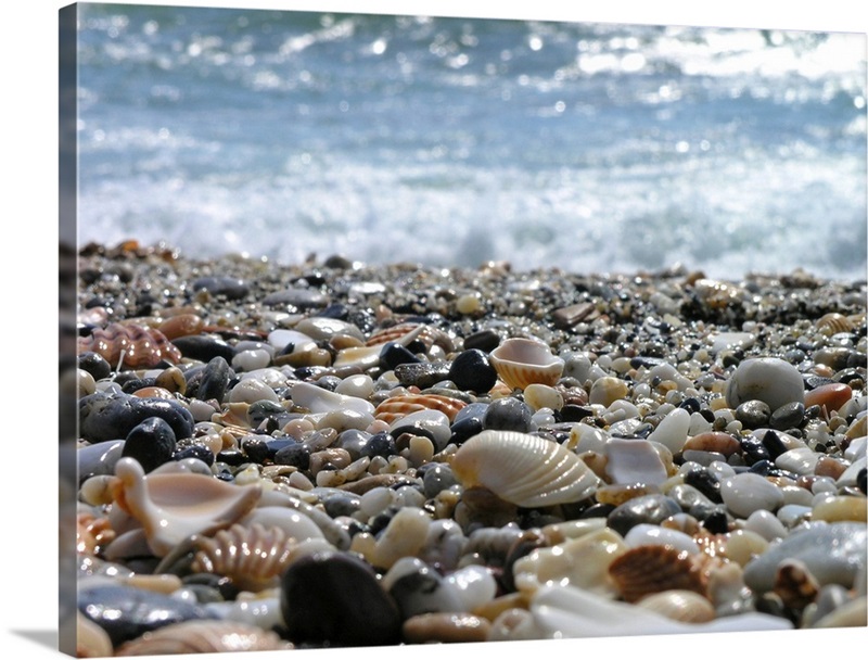 Shells on a shore not far away from Gibraltar | Great Big Canvas