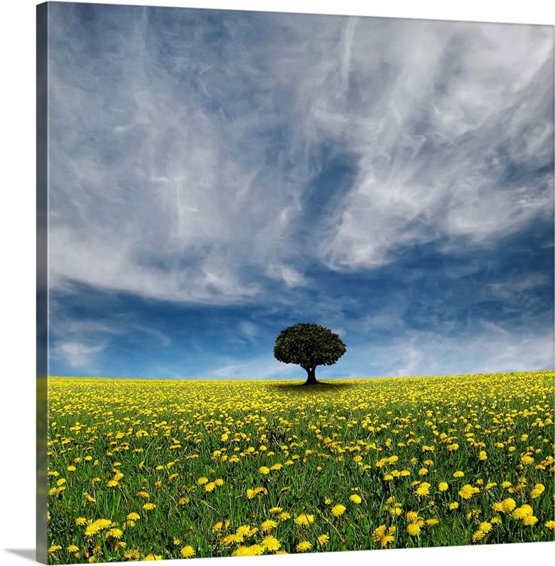 Single tree in middle of flower lawn and stormy cloud. | Great Big Canvas
