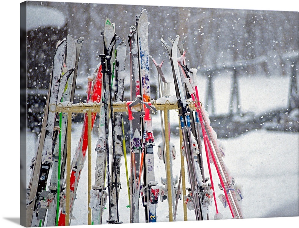 Ski Boards Wall Art, Canvas Prints, Framed Prints, Wall Peels | Great ...