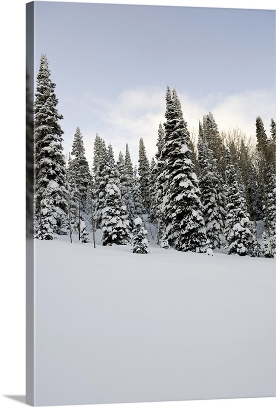Snow-covered landscape | Great Big Canvas