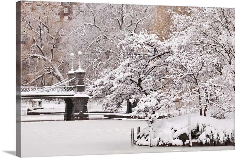 Snow Covered Trees With A Footbridge In A Public Park, Boston ...