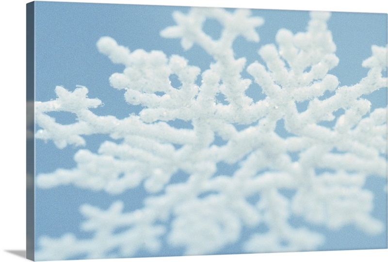 Snowflake | Great Big Canvas