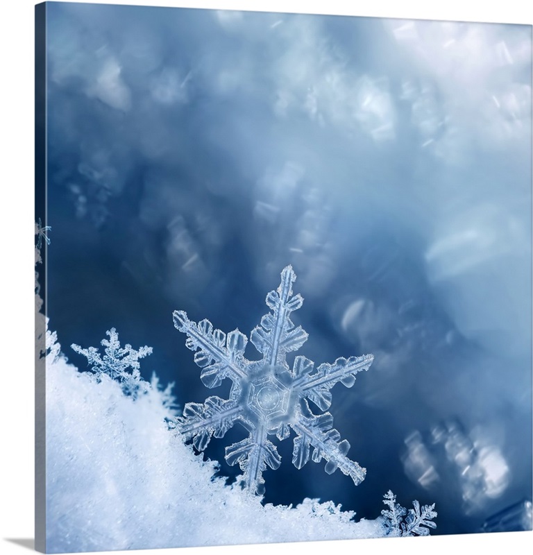 Snowflake Edge | Great Big Canvas