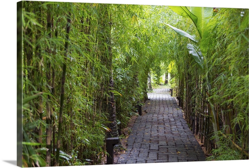 Stone pathway in tropical rainforest, Ubud, Bali, Indonesia | Great Big ...