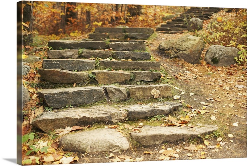 Stone steps on forest trail in autumn | Great Big Canvas