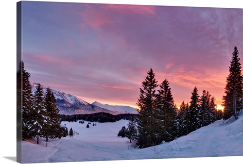 Sunset over snowy forest in French Alps near Grenoble. | Great Big Canvas