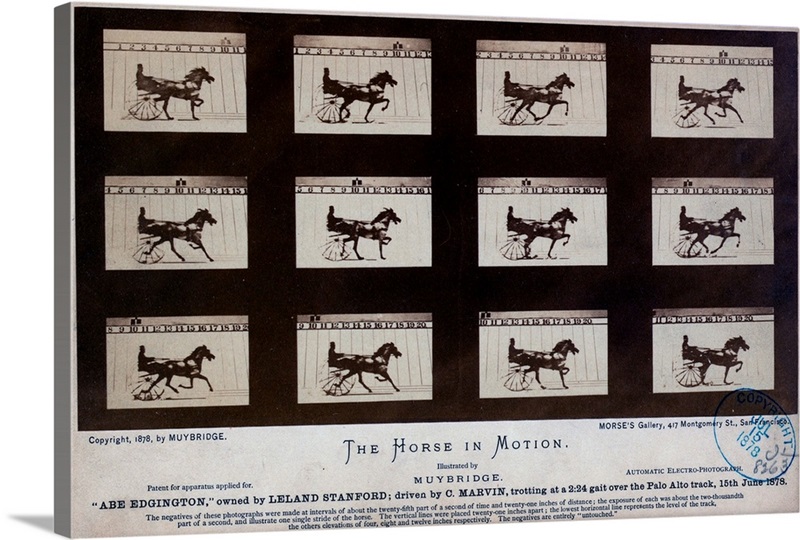 The Horse In Motion By Eadweard Muybridge | Great Big Canvas