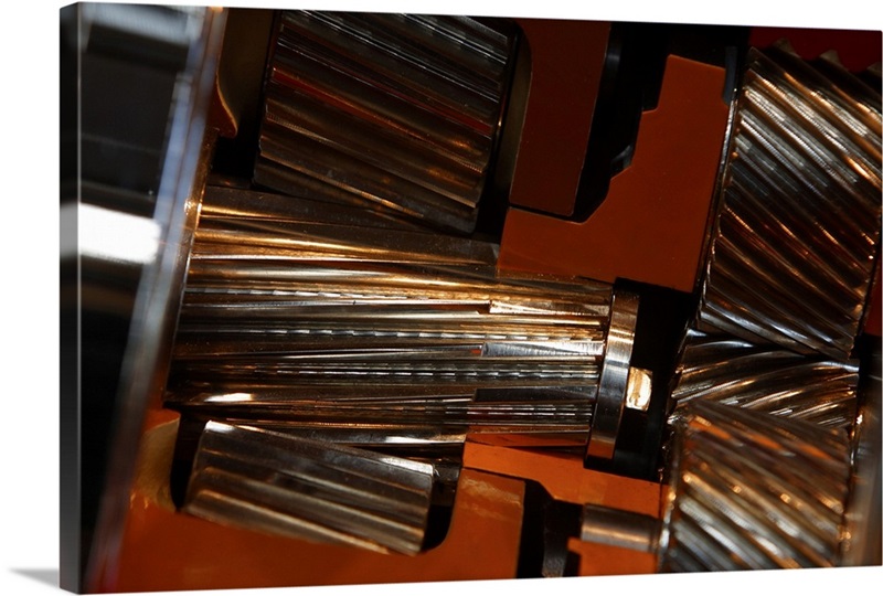 Toothed wheel | Great Big Canvas