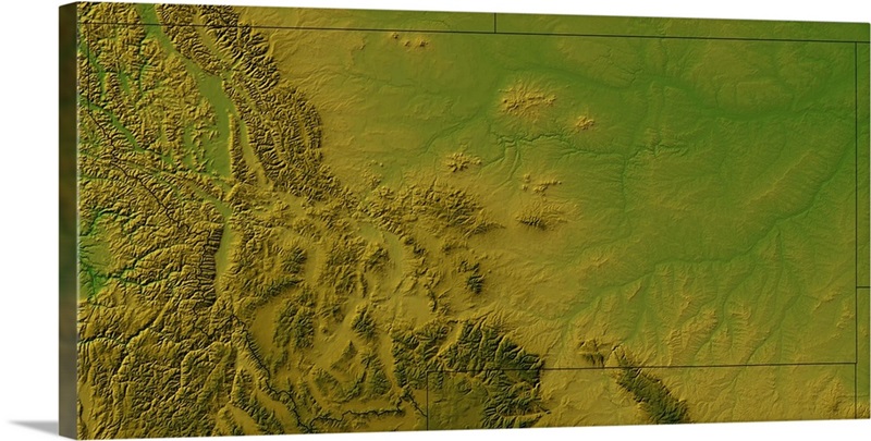 Topographic map of Montana | Great Big Canvas