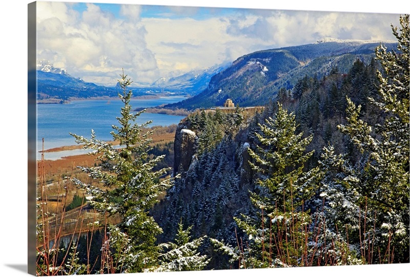 Trees at the edge of the Columbia River Gorge, Oregon, USA | Great Big ...