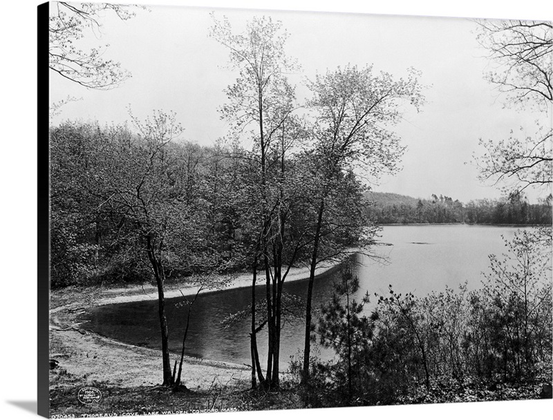 Walden Pond From Henry David Thoreau's Hut | Great Big Canvas