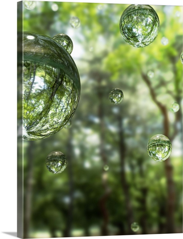 Water drops in the forest | Great Big Canvas