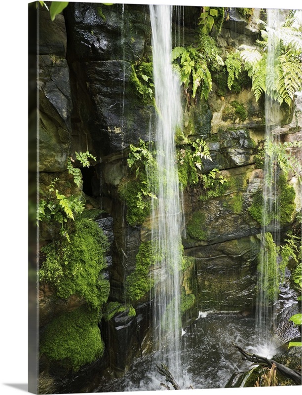 Waterfall, Temperate rainforest, New Zealand | Great Big Canvas