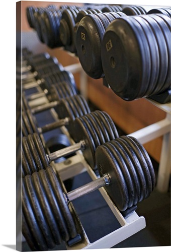 Weights on rack in gym | Great Big Canvas