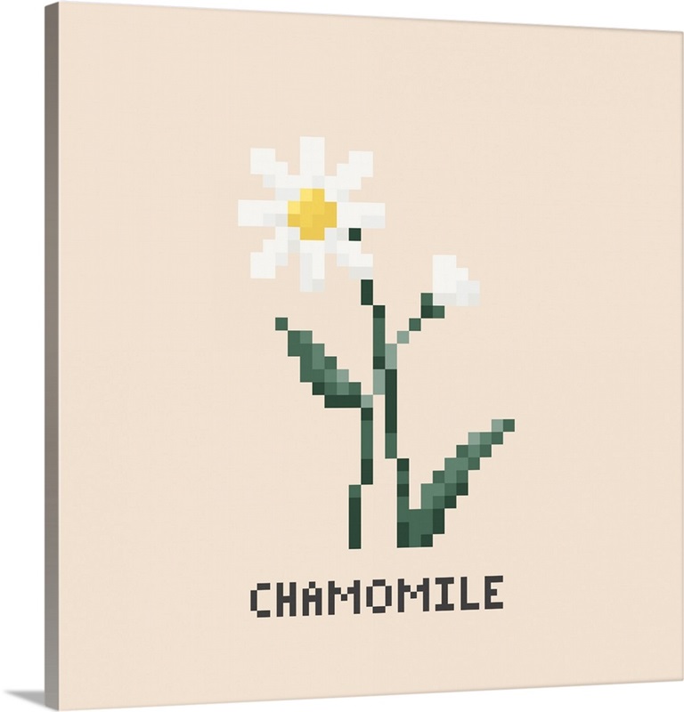 White Chamomile Pixel Art | Great Big Canvas