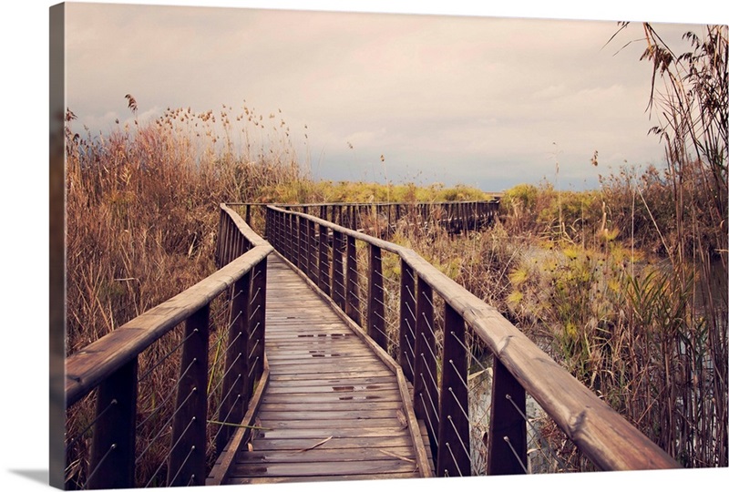 Wooden path on the lake | Great Big Canvas