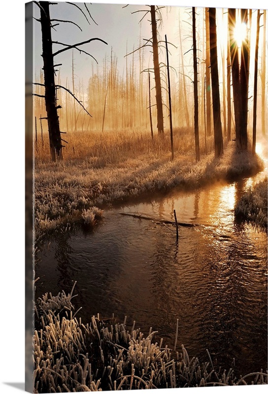 Yellowstone National Park at morning. | Great Big Canvas