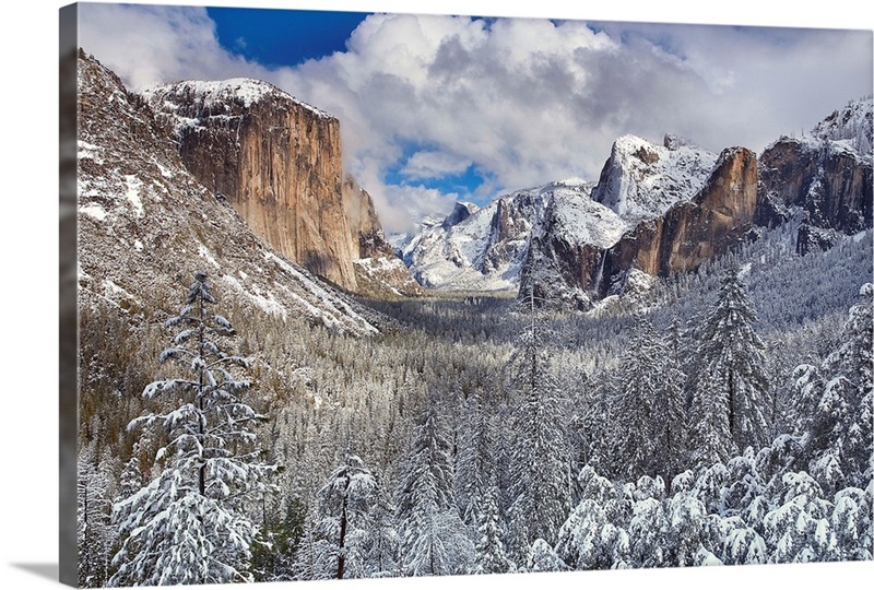 Yosemite National Park, California after snow storm | Great Big Canvas