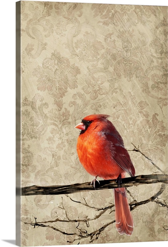 Cardinal | Great Big Canvas