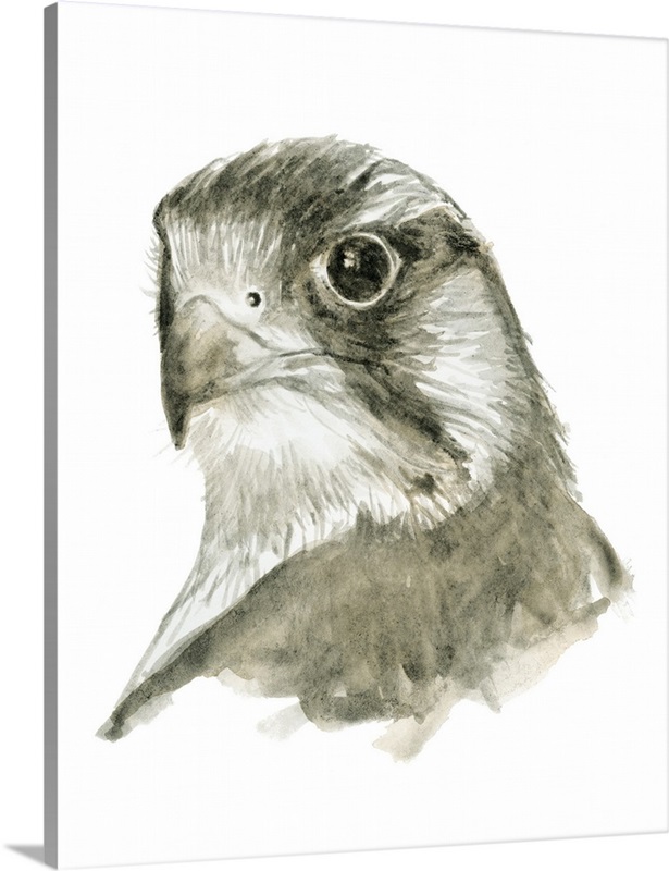 Falcon Bust | Great Big Canvas
